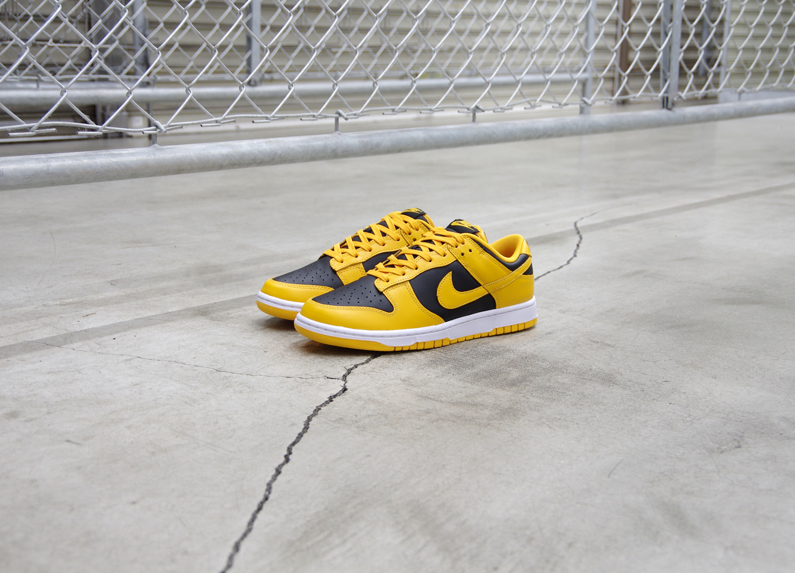 NIKE DUNK LOW RETRO “GOLDENROD” | mita sneakers Draw